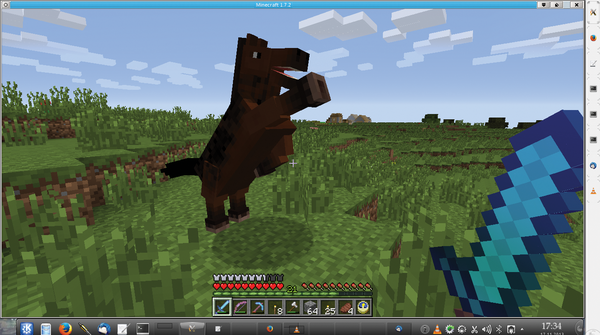 The Minecraft cult game / 21 / 2014 / Archive / Magazine / Home ...